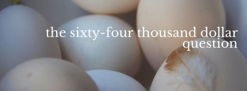 the sixty-four thousand dollar question - Cooker and a Looker ...