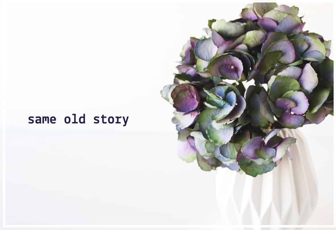 same old story - Cooker and a Looker - Australian Home Cooking